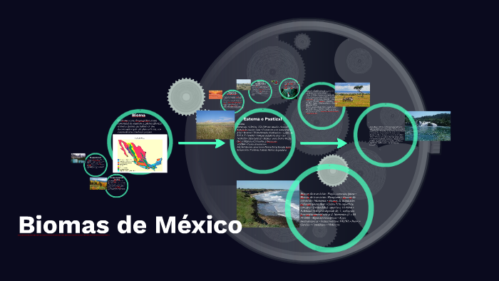 Biomas de México by Luis Diego on Prezi
