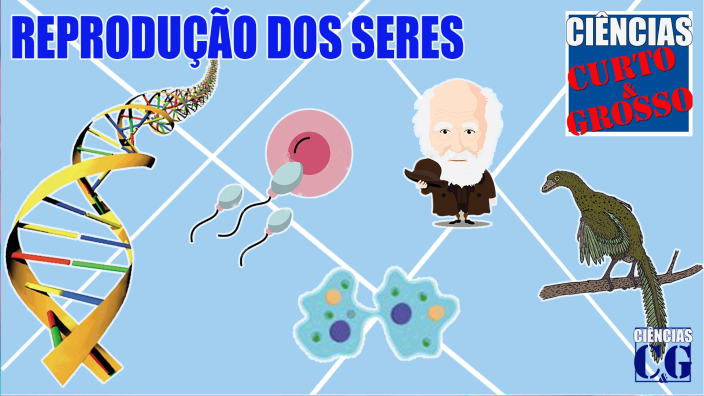 REPRODUÇÃO DOS SERES VIVOS by CIÊNCIAS CURTO & GROSSO on Prezi