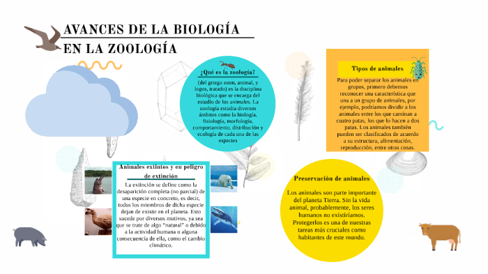 BIOLOGÍA CON RELACIÓN A LA ZOOLOGÍA by Merally Quijano on Prezi