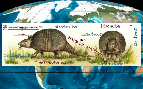 Descripción morfológica de Pampatherium mexicanum Edmund, 1996 ...