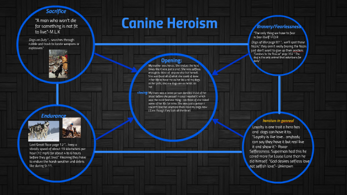 Canine Heroism by Jackson Parry on Prezi