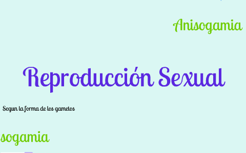 Isogamia y Anisogamia by Laura Delgado on Prezi