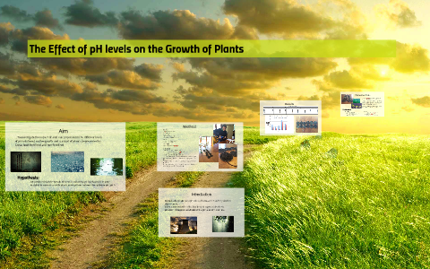 The Effect of Acid Rain on the Growth of Plants by Serena Chiang on Prezi