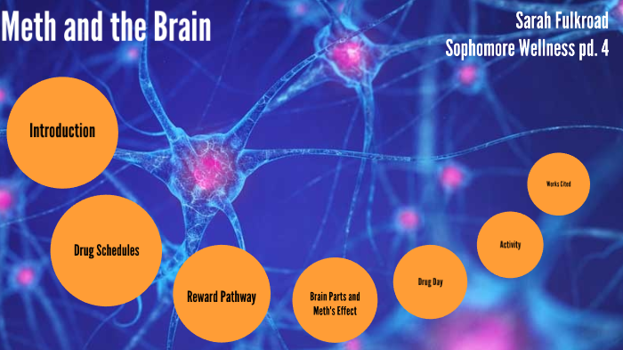 Meth and the Brain by Sarah Fulkroad on Prezi