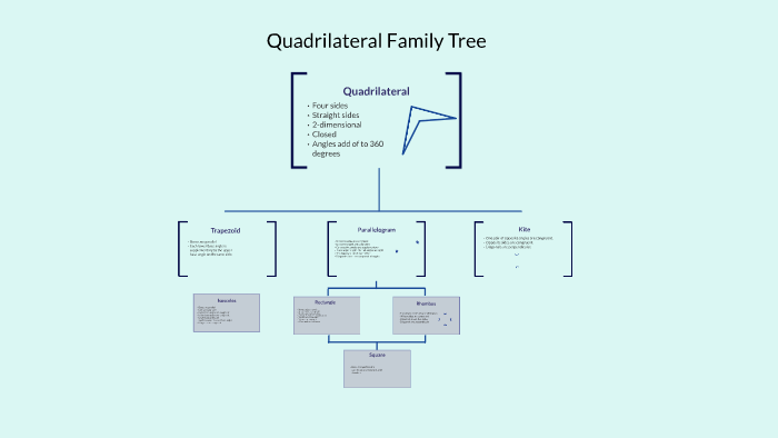 Quadrilateral Family Tree by Jana Whitfield