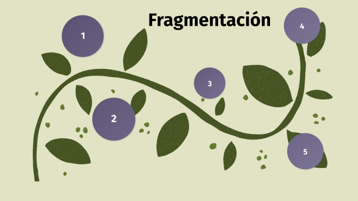 Fragmentación - Life Skills by Diego Ruiz on Prezi