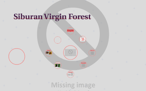 Siburan Virgin Forest by kris requina on Prezi