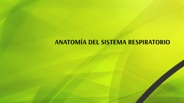 GRACIAS POR SU ATENCION PRESTADA. by Edgar Lazo on Prezi