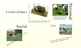 The 4 Levels of Space by Allie Christian on Prezi