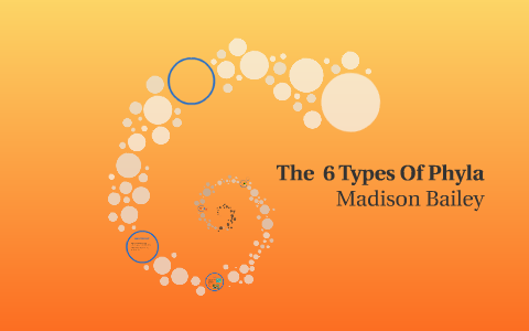 The 6 Types Of Phyla by madison bailey on Prezi