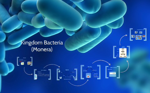 Kingdom Bacteria (Monera) by Rachel Cini on Prezi