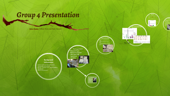 Group 4 Presentations by Tiffany Rose on Prezi