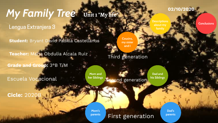 Family Tree Padilla Castellanos Bryant David 3°B T/M by Bryant Padilla ...