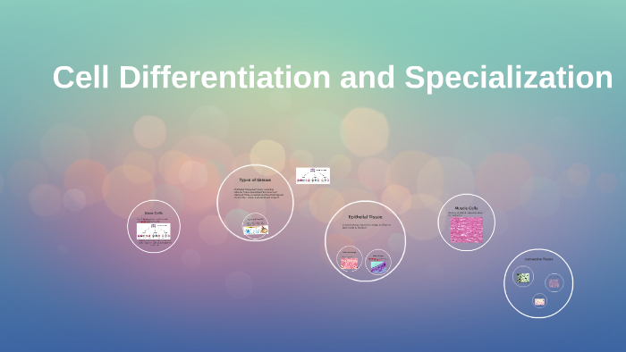 Cell Differentiation and Specialization by on Prezi