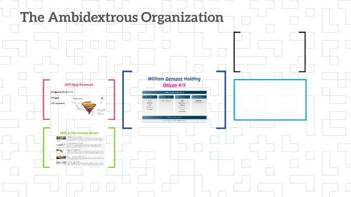 The Ambidextrous Organization by Mikkel Kring on Prezi