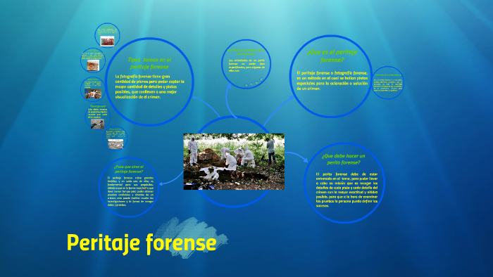 Peritaje forense by rogelio cancino on Prezi