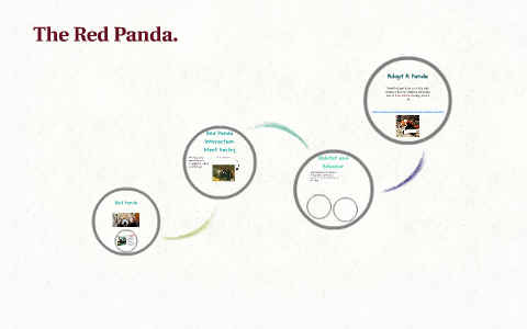 Red Panda by on Prezi