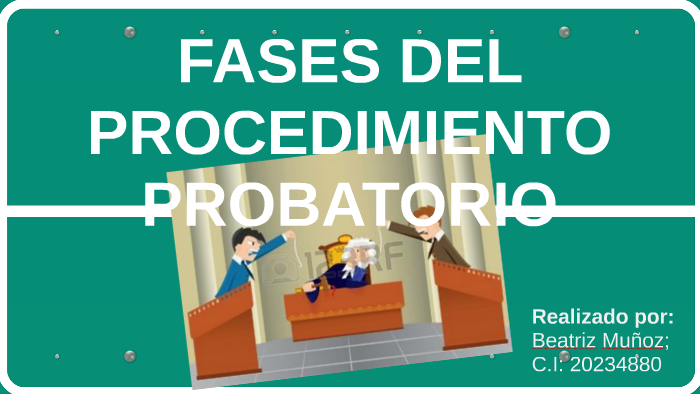 FASES DEL PROCEDIMIENTO PROBATORIO by Beatriz Muñoz Matheus on Prezi