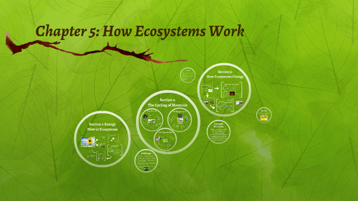 Chapter 5: How Ecosystems Work by Mallory Cox on Prezi