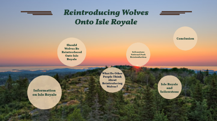 Reintroducing Wolves Onto Isle Royale Project by Anastasia Dubovoy on Prezi