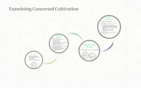 Examining Concerted Cultivation by Rachel Sladovnik on Prezi