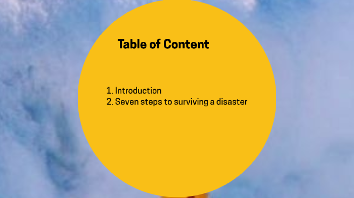 Seven Steps to Surviving a Disaster by Salman rawy on Prezi