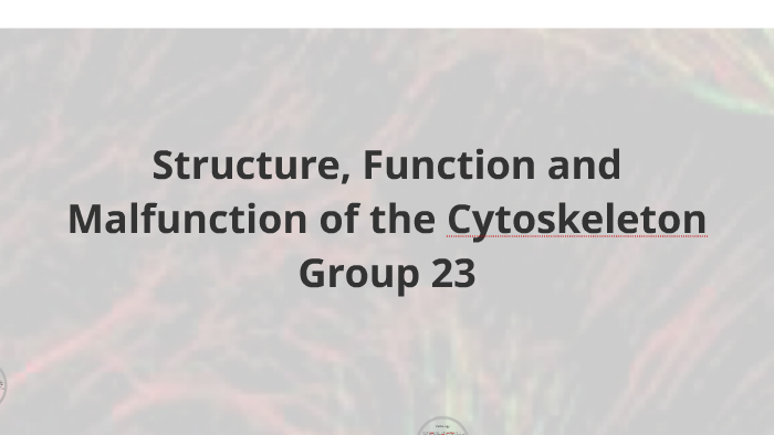 Structure, Function & Malfunction of the Cytoskeleton by Katie Holden ...