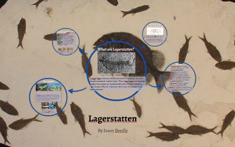 Lagerstatten Presentation by Jason Beedle on Prezi