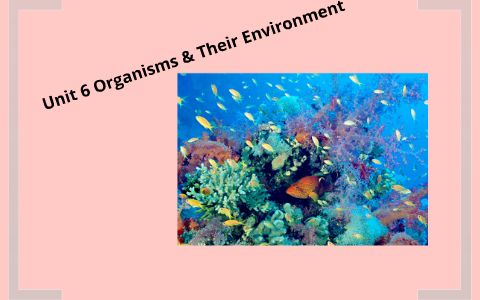 Unit 6 Organisms and Their Environment Test Review by Misty Mitchell on ...