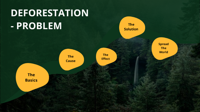 Role of Forest in Water Filtration by sahil aswani on Prezi