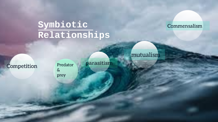 Symbiotic Relationships by Kalaya Jones on Prezi