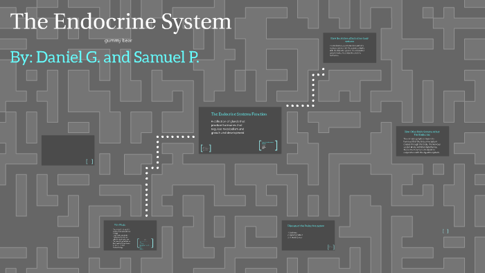 The Endocrine System by on Prezi