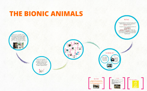 THE BIONIC ANIMALS by Katarzyna Bąk on Prezi