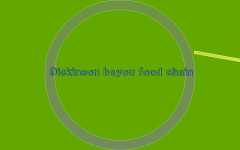 Dickinson Bayou Food Chain by Brittany Strobel on Prezi