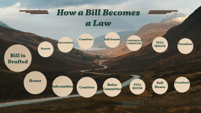 How a Bill Becomes a Law by CJ Colyer