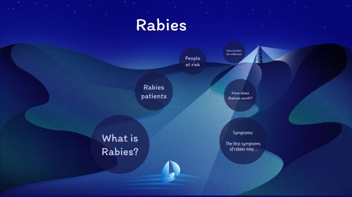 Rabies HST project by Joshita Banga on Prezi