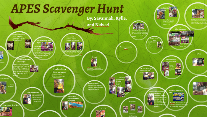 APES Scavenger Hunt by Savannah Alcazar on Prezi