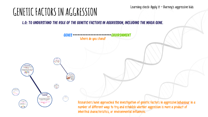 Aggression 3: GENETIC FACTORS IN AGGRESSION by Lauren Monteil on Prezi
