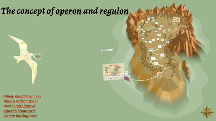 The concept of operon and regulon by Alibek Moldakozhayev on Prezi