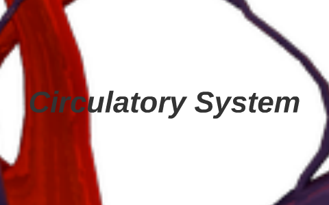 Circulatory System by Rachel Cluett on Prezi