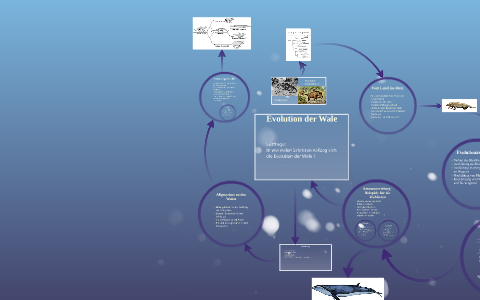 Evolution der Wale by jeffrey schnoor on Prezi