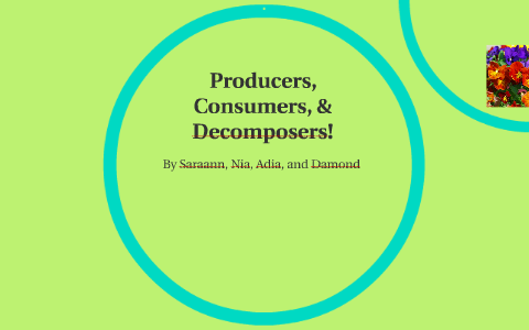 Producers, Consumers, & Decomposers! by Saraann S on Prezi