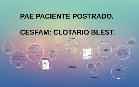PAE PACIENTE POSTRADO. by yasmin caballeria on Prezi