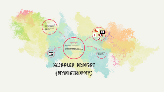 Muscles project by golden eagle