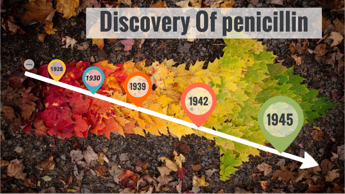 Discovery of Penicillin by Ava Mackey on Prezi