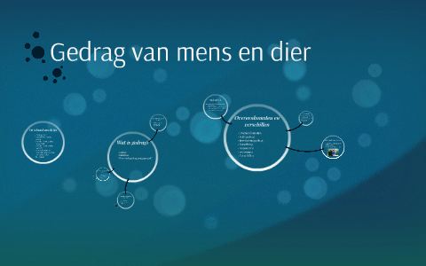 Gedrag van mens en dier by on Prezi