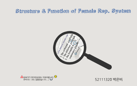 Structure & Function of Female Rep. System by 은비 박 on Prezi