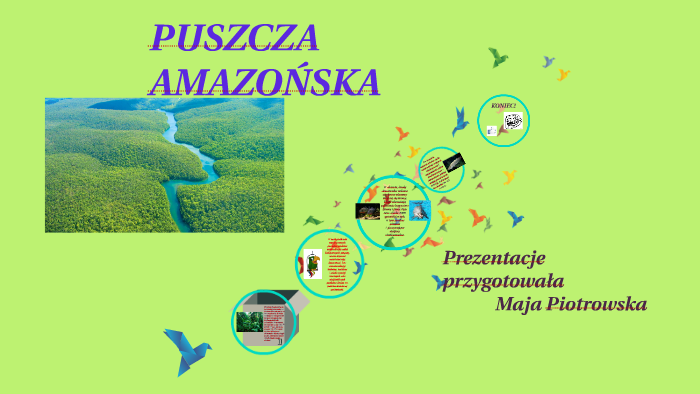 PUSZCZA AMAZOŃSKA by Maja Piotrowska on Prezi