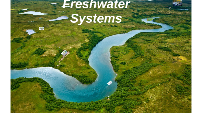 Freshwater Systems by Douglas Stretch on Prezi