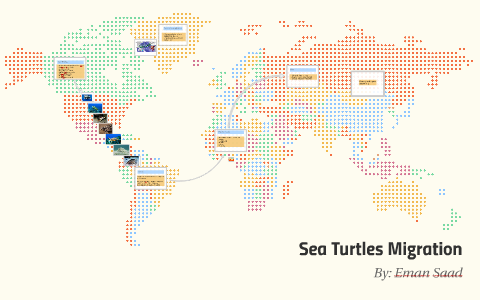 Sea Turtles Migration by Eman Saad on Prezi